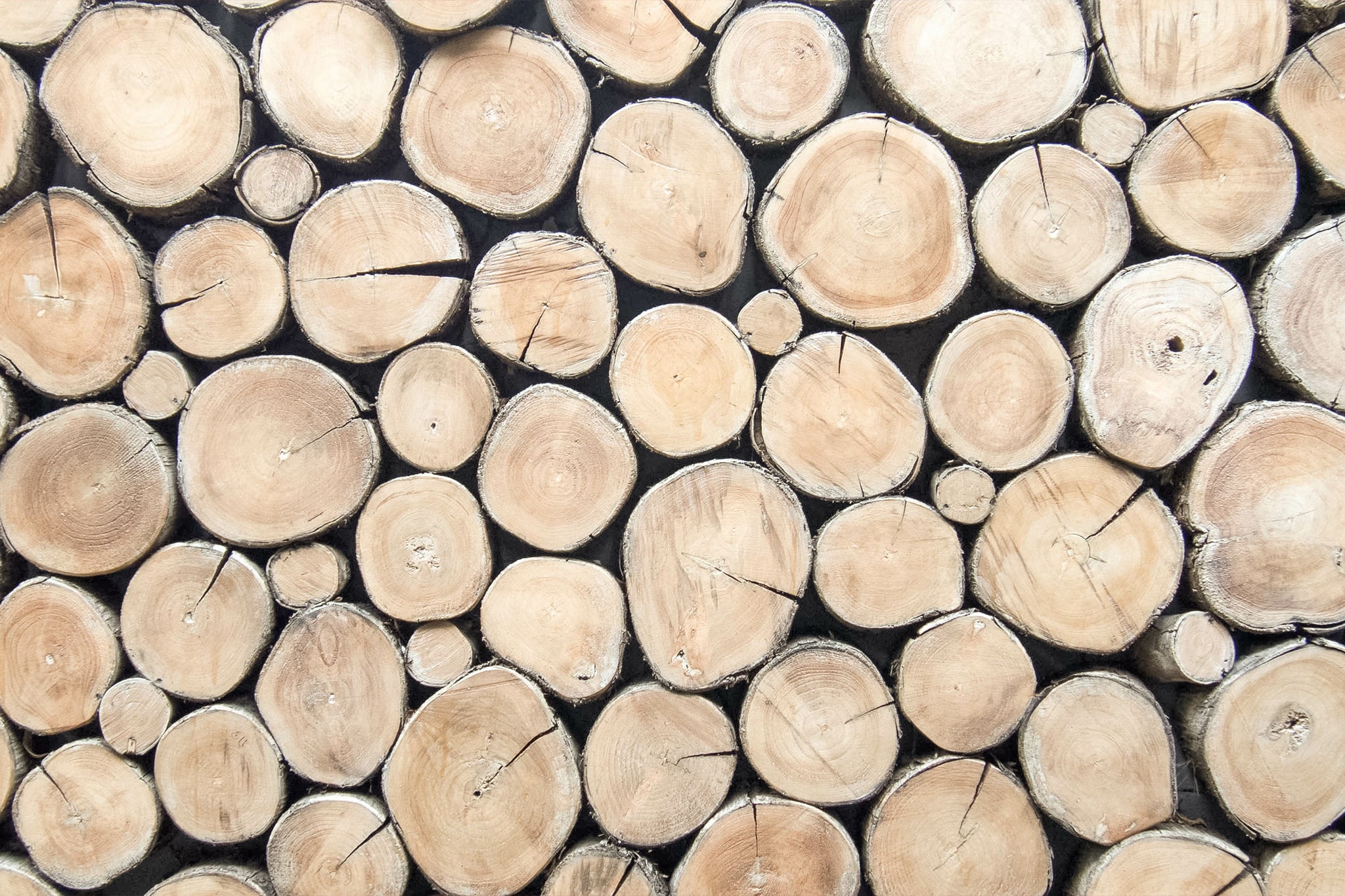 Hout industrie | Weighing & Inspection